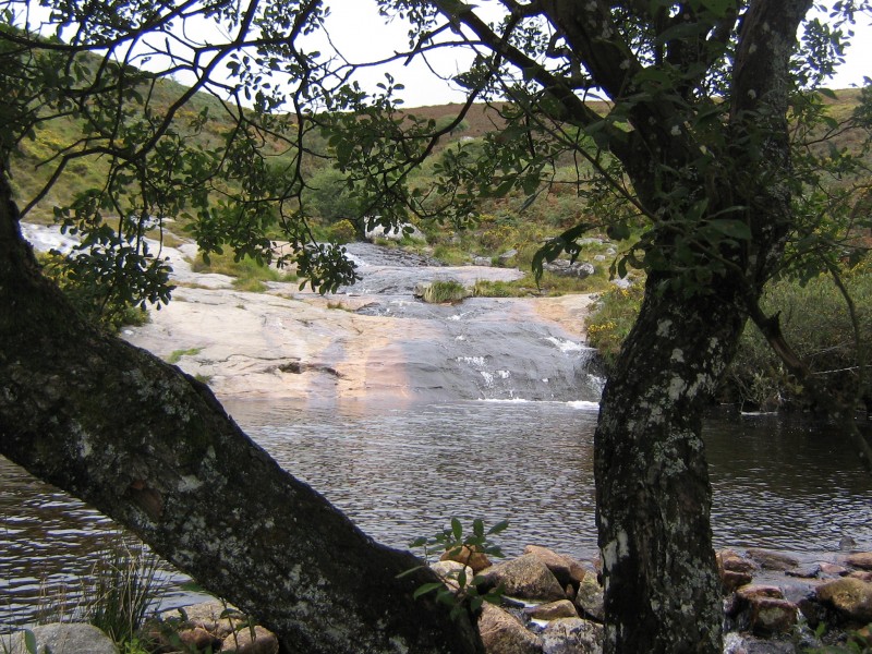 Shilley Pool | Media | Mary Michael Pilgrims Way